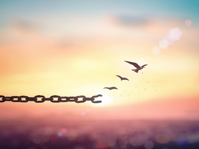 4 benefícios do perdão | Viva em Plenitude